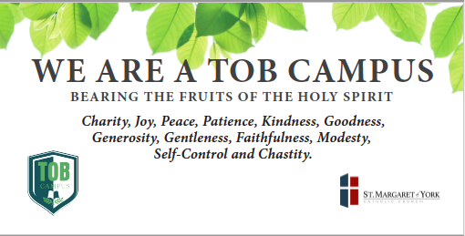 A Pastor Proclaims & Explains: A Pastor Proclaims & Explains: