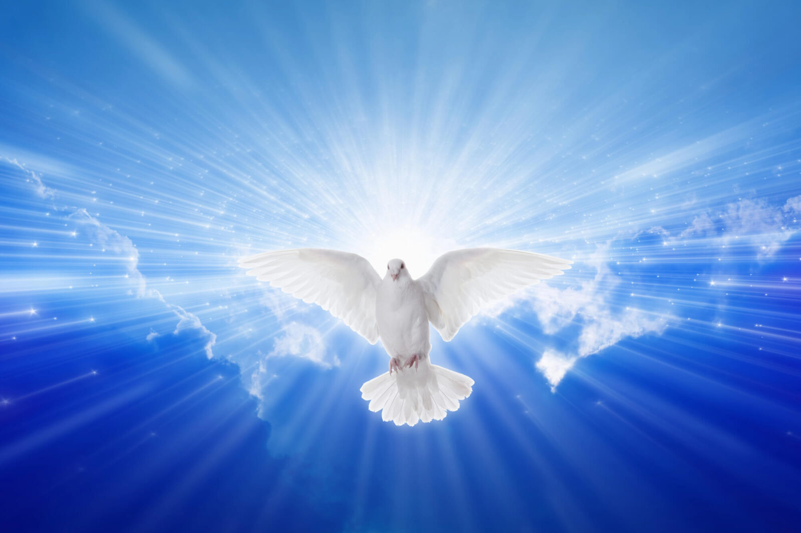 Purity, the Flesh, and the Spirit | Ruah Woods Institute
