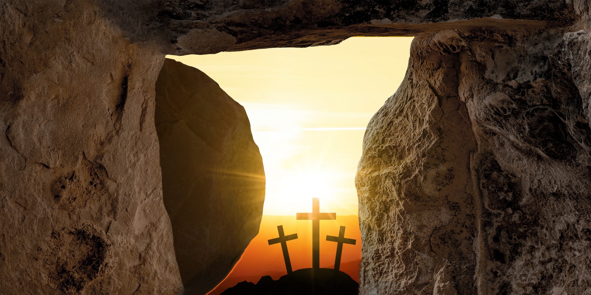 The Wounds of Sin | Ruah Woods Institute